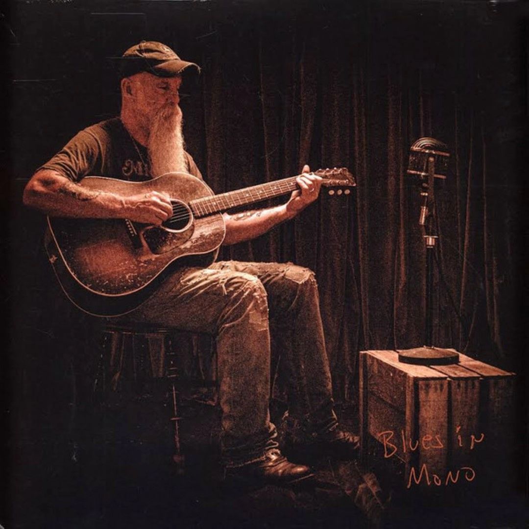 Виниловая пластинка SEASICK STEVE Blues In Mono (LP)