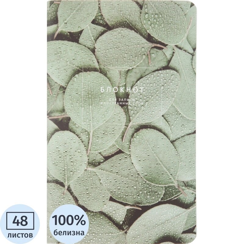 Блокнот BS, 13х21см, 48л, скрепка Botanica эвкалипт Д/зап. ин. слов N4126
