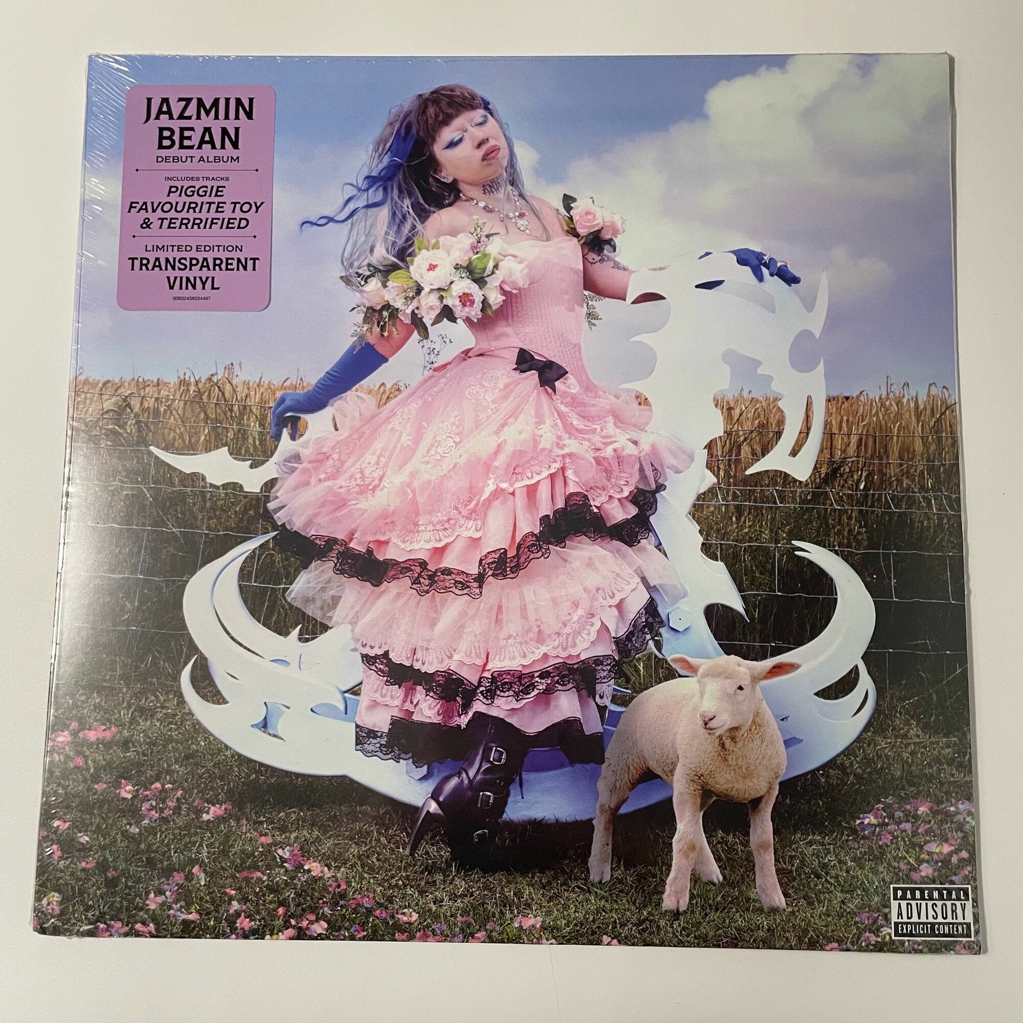 Виниловая пластинка LP Jazmin Bean Traumatic Livelihood (Европейский Союз)