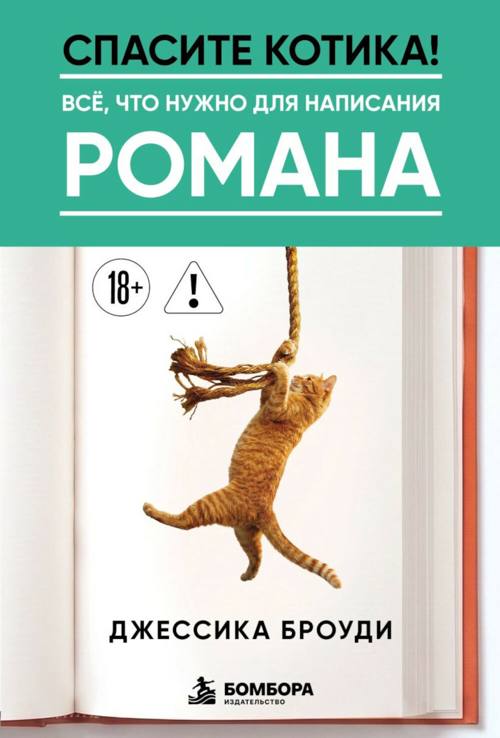 Спасите котика! Все, что нужно для написания романа. Броуди Дж.