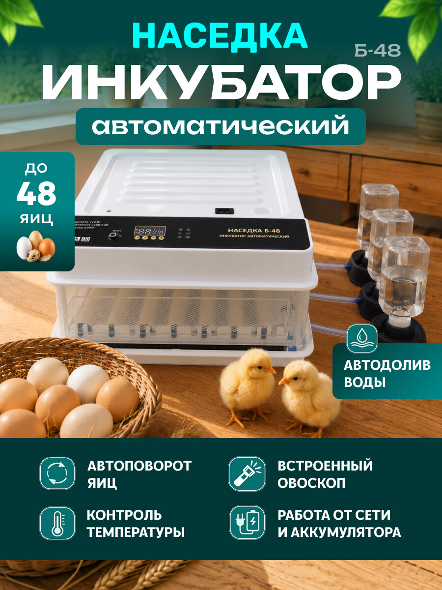 Инкубатор для яиц автоматический Наседка Б-48 на 48 яиц, автоповорот, овоскоп, автодолив воды, 220/12В