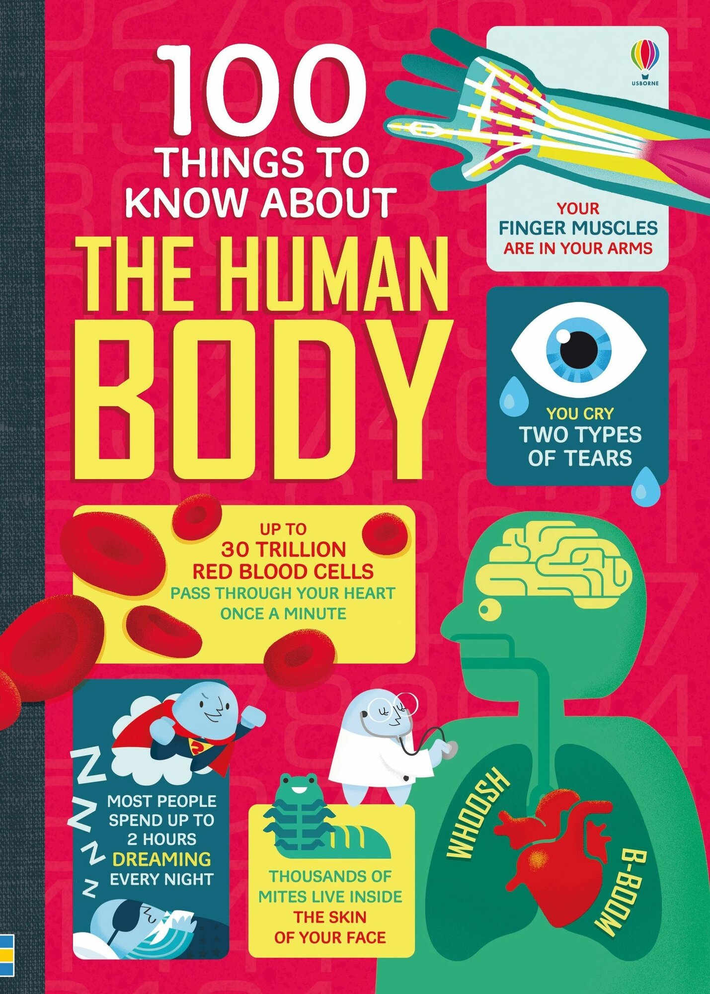 100 things to know about human body / 100 вещей, которые нужно знать о человеческом теле