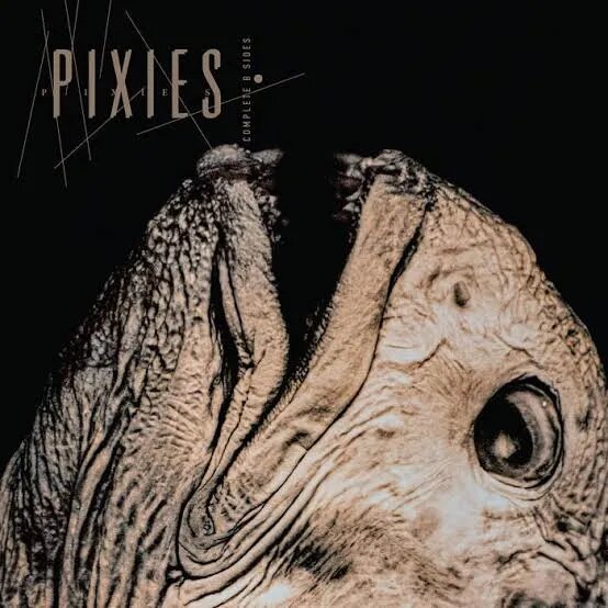 Виниловая пластинка Pixies - Complete B-Sides 1988-1997 (Crystal Clear Vinyl 2LP)
