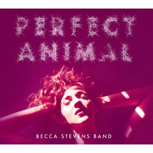Музыка CD Becca Stevens Band - Perfect Animal (CD, Album, Stereo, 2014)