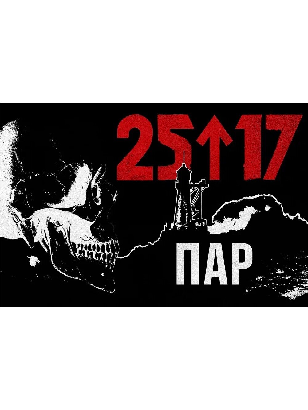 Флаг, постер, плакат группа "25/17",140*90cm, двусторонний флаг