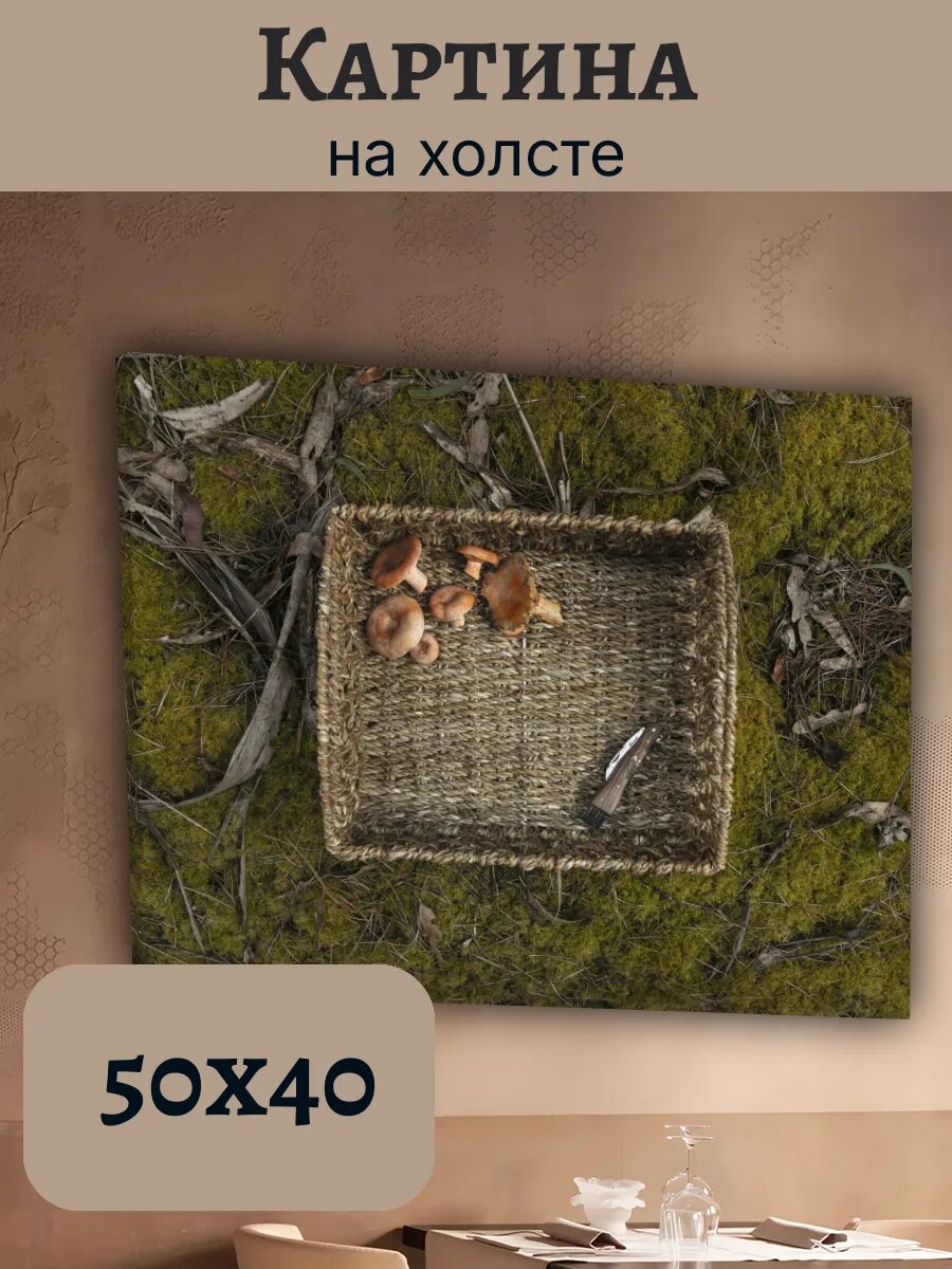 Картина Еда Food Кухня Эстетика 40x50 грибы Лес Мох