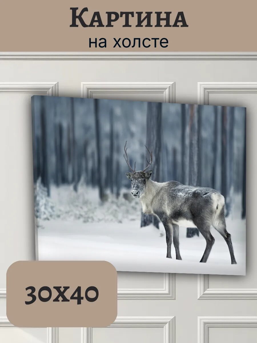 Картина Финляндия Finland 30x40 северный олень