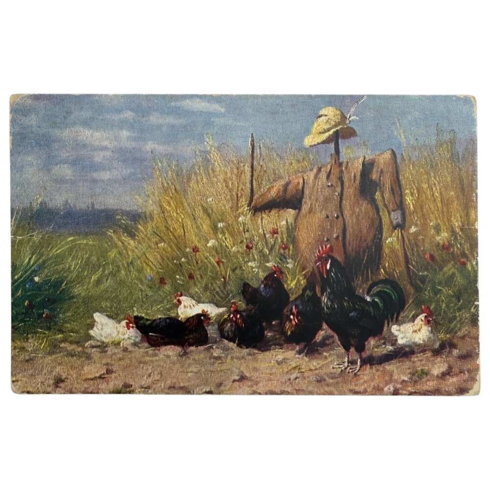 Почтовая открытка "Петух, куры и пугало" 1900-1909 гг. Германская Империя