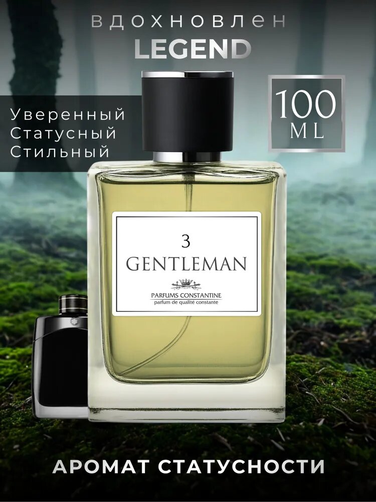 Духи мужские стойкие GENTLEMAN 3 древесные, фужерные 100 мл