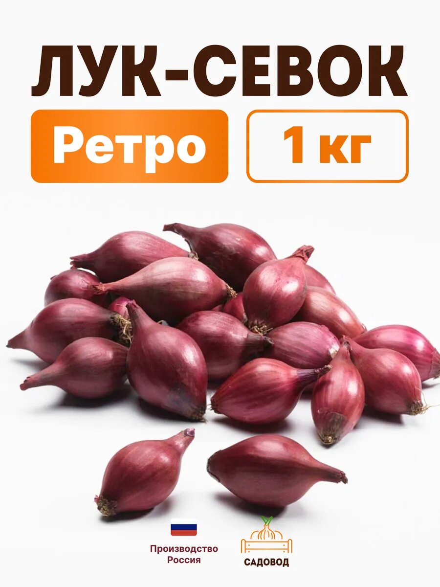 Лук севок красный Ретро 1 кг на посадку осенью