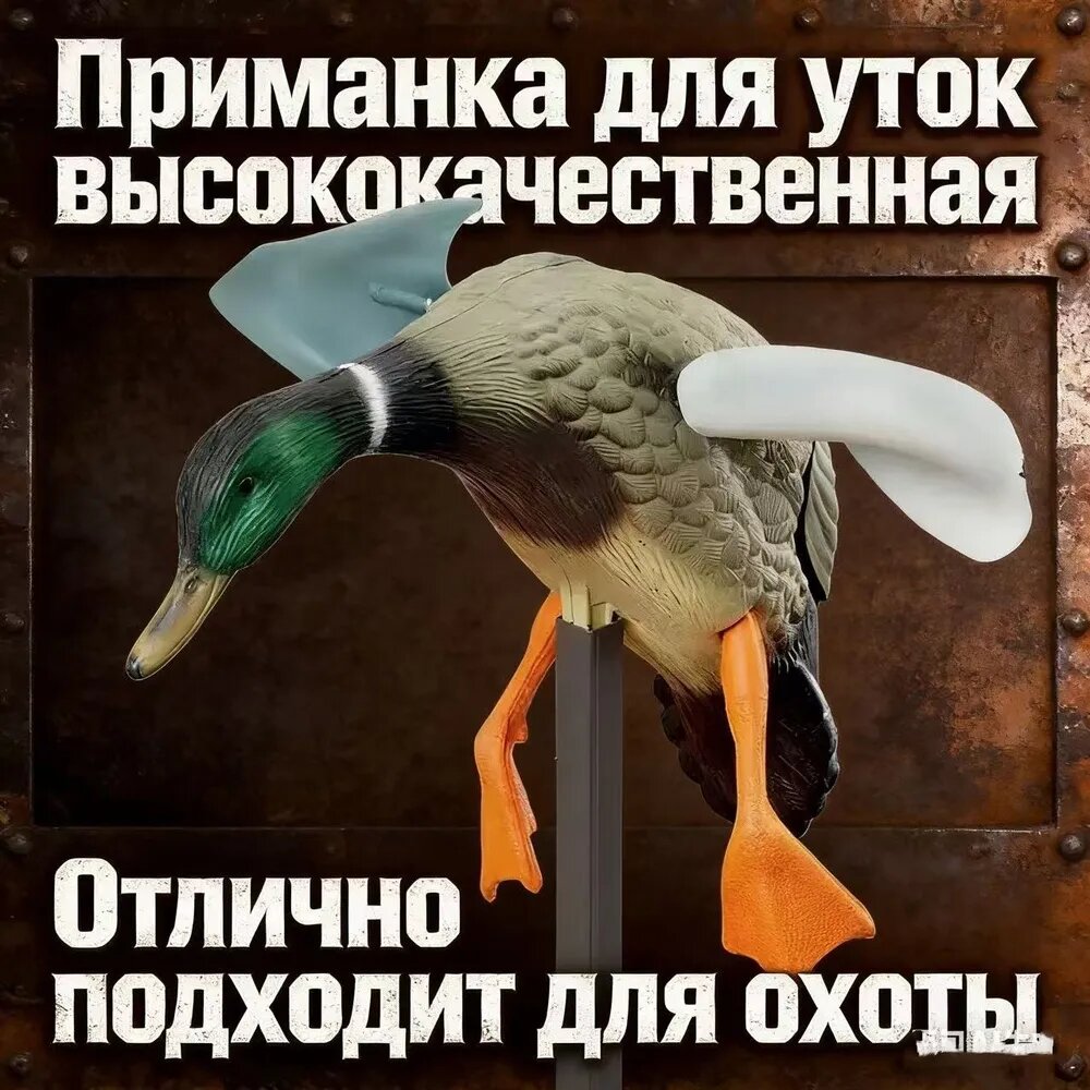 Чучело — фото 1