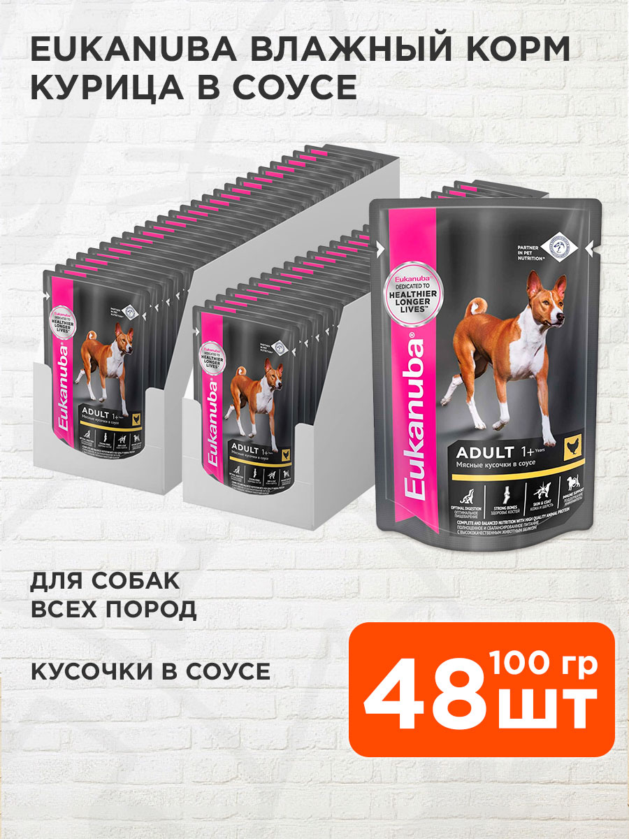 Корм влажный Eukanuba Dog Adult для взрослых собак курица в соусе, 100 г 48 шт