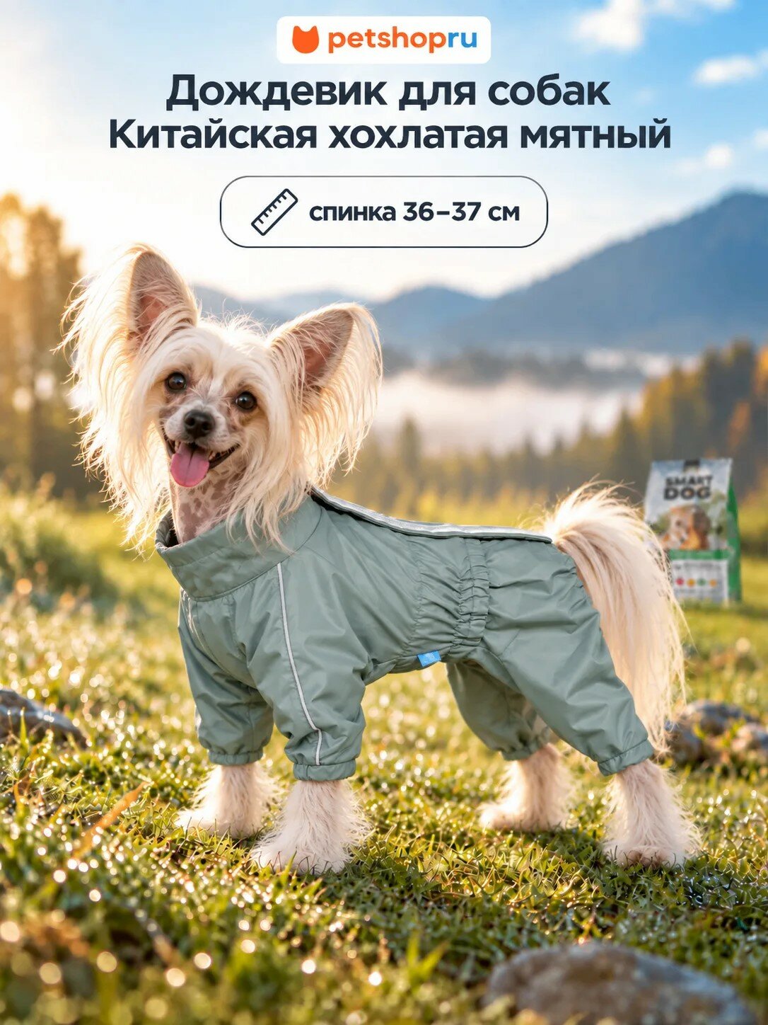 Yami-Yami одежда Дождевик для собак, мятный, на гладкой подкладке, Китайская хохлатая, спинка 36-37 см