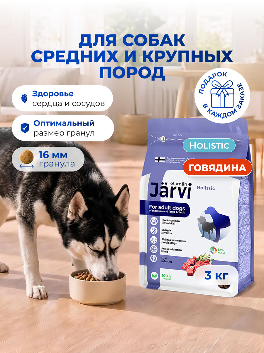 Сухой корм Jarvi полнорационный для взрослых собак средних и крупных пород с говядиной, 3 кг