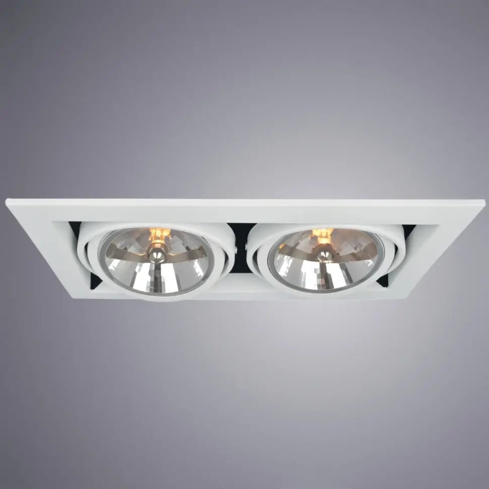 Карданный светильник Arte Lamp CARDANI GRANDE A5935PL-2WH