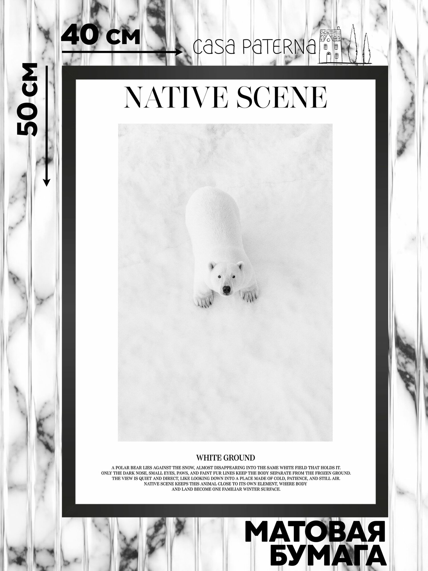 Постер на стену 40х50 Native Scene 41, черно-белая фотография для интерьера, чб без рамки Casa Paterna