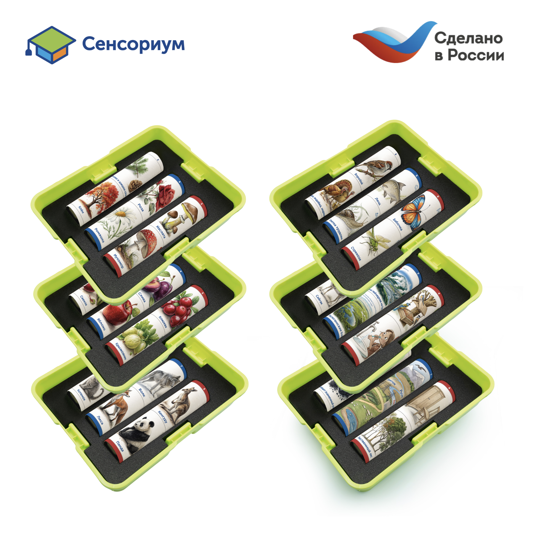 Природные богатства России (без робомыши, без системы хранения) Learning Resources MS0102Арт. 18802