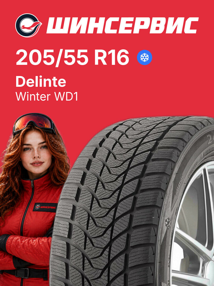 Зимняя нешипованная шина Delinte Winter WD1 205/55 R16 91 H, зимняя автомобильная резина