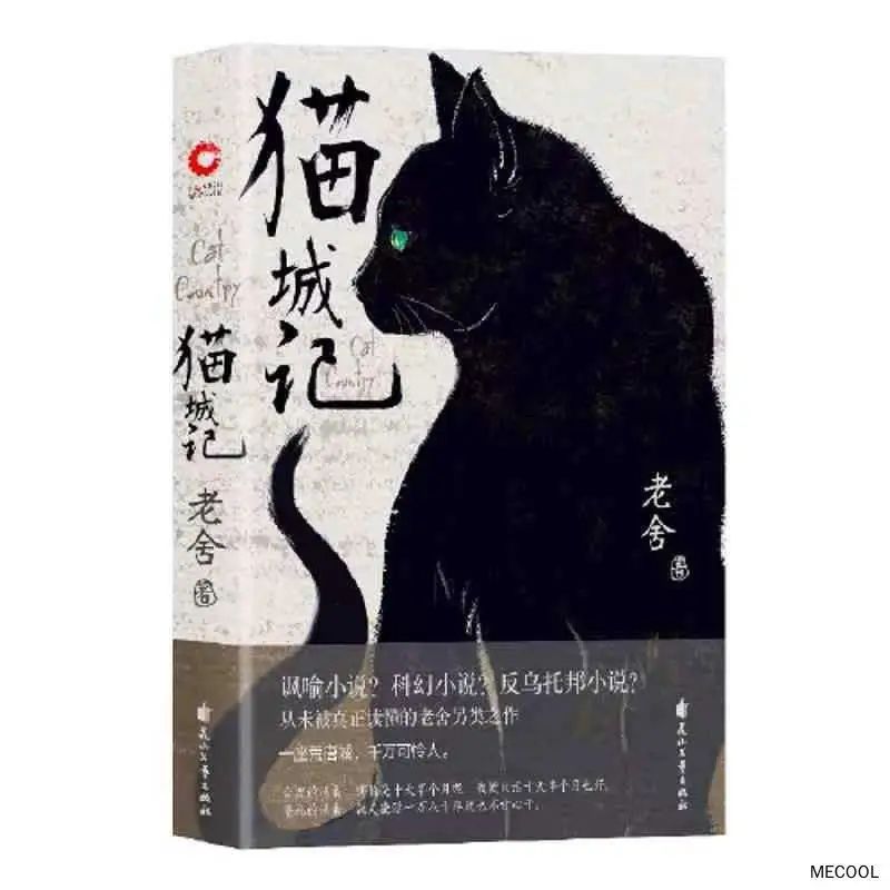 Записки о кошачьем городе. Антиутопия. Книги на китайском языке для чтения