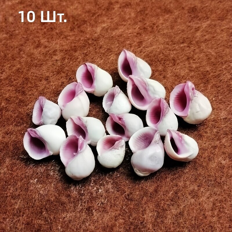 Ракушки лавандовые, 10 шт. — декор для аквариума, микроландшафта и домашнего интерьера