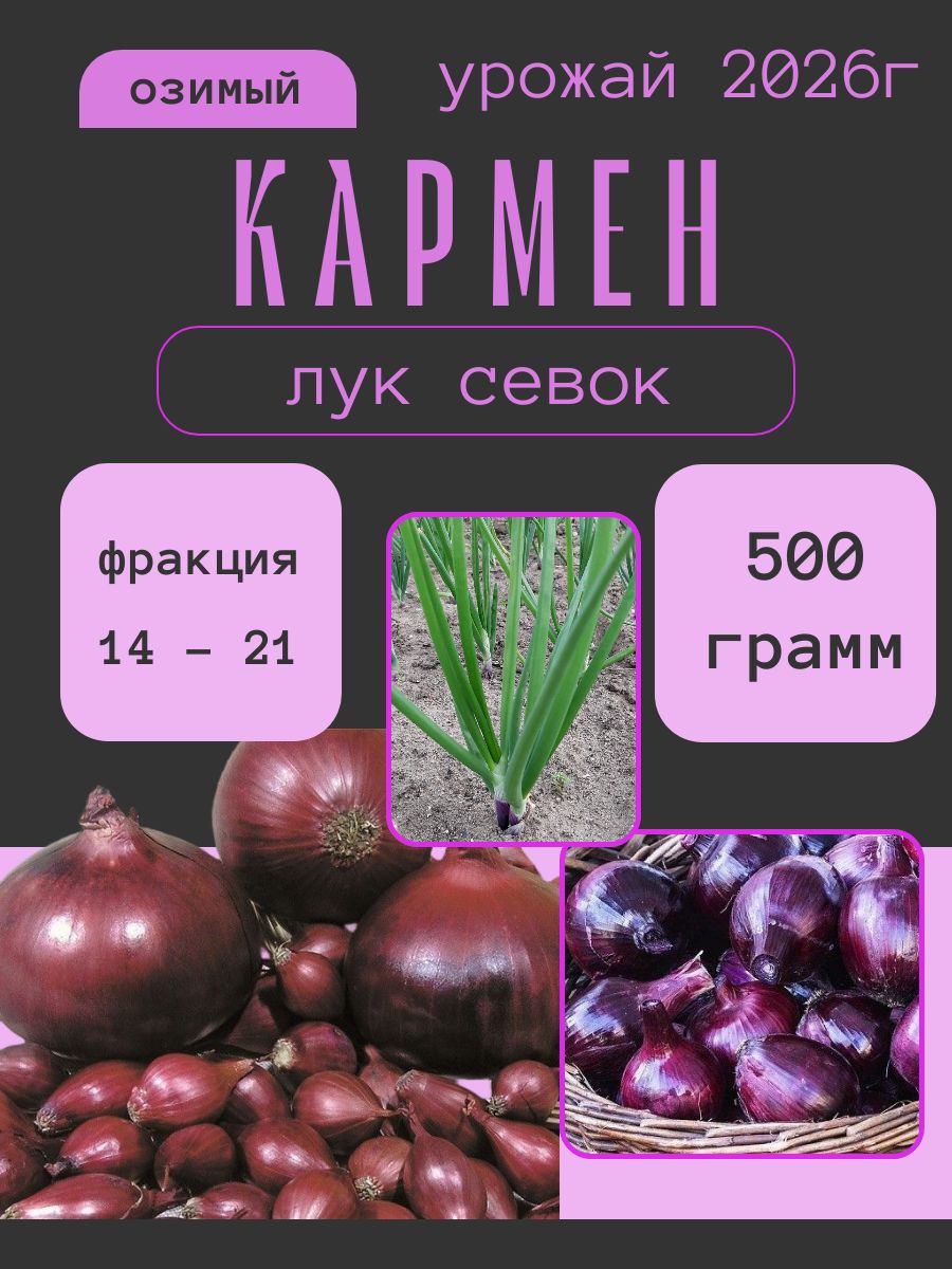Лук севок красный Кармен, озимый, 500гр