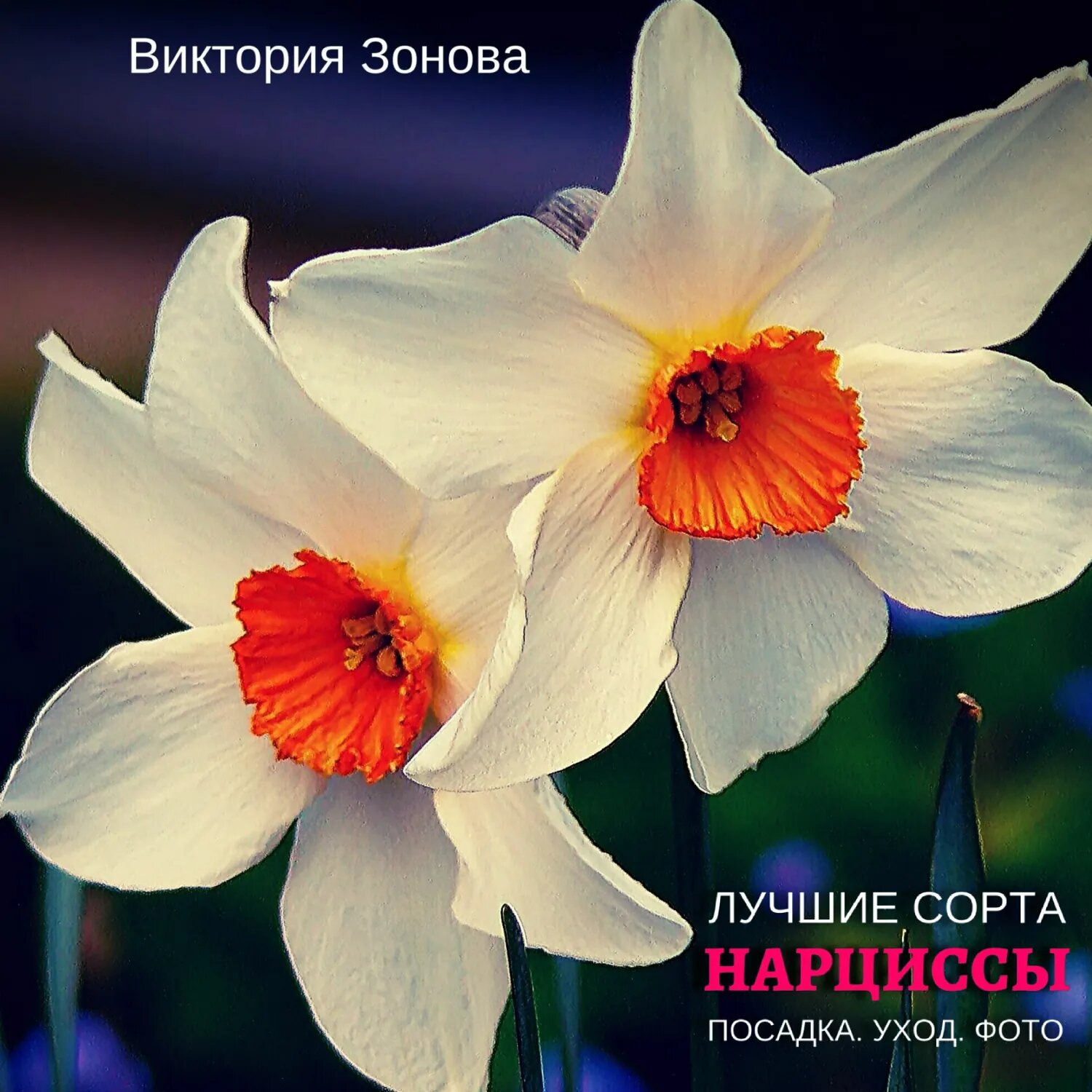 Нарциссы. Лучшие сорта [Аудиокнига]