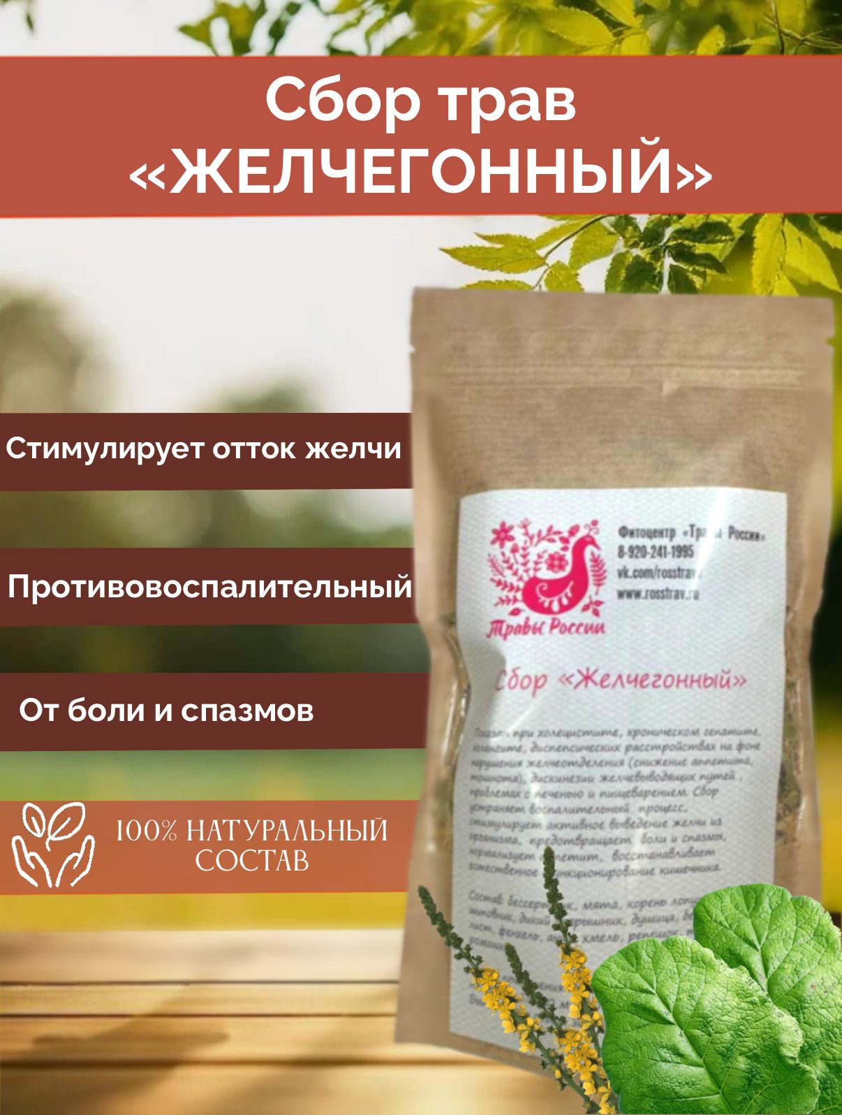 Травяной сбор Желчегонный крупнолистовой фито чай против холецестита Травы России 200 гр