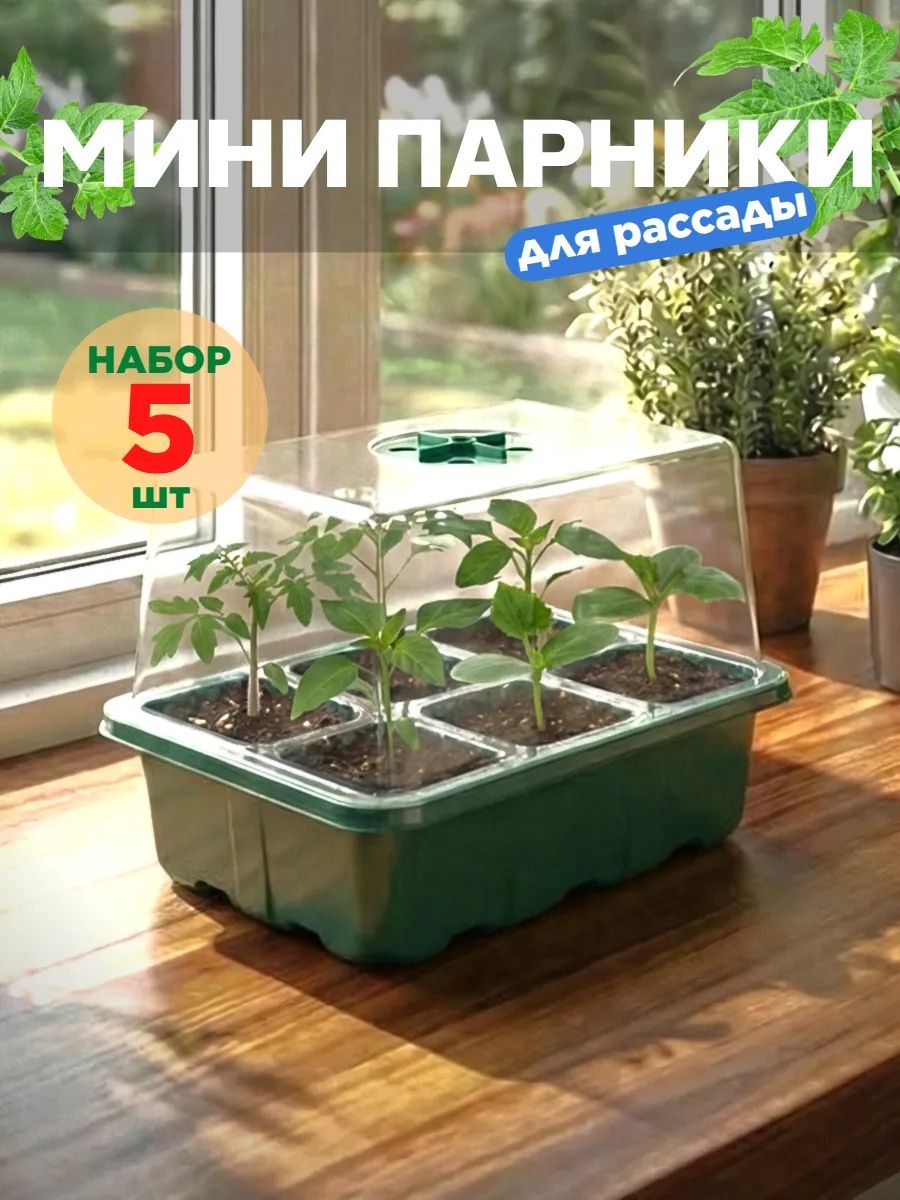 Набор мини-парников для рассады, 5 штук, 30 ячеек