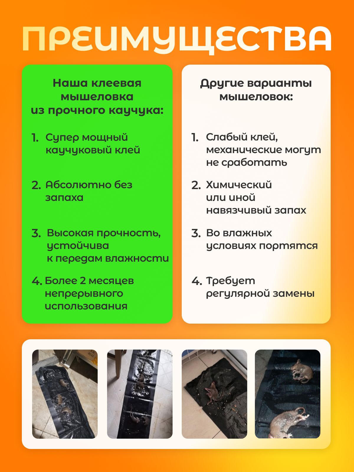 Мышеловка — фото 1