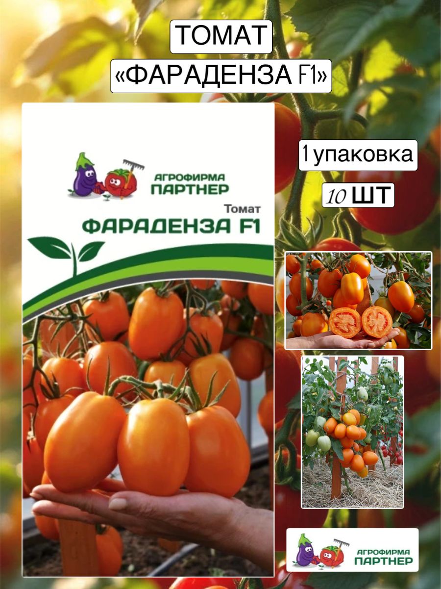 Семена томат Фараденза Партнер