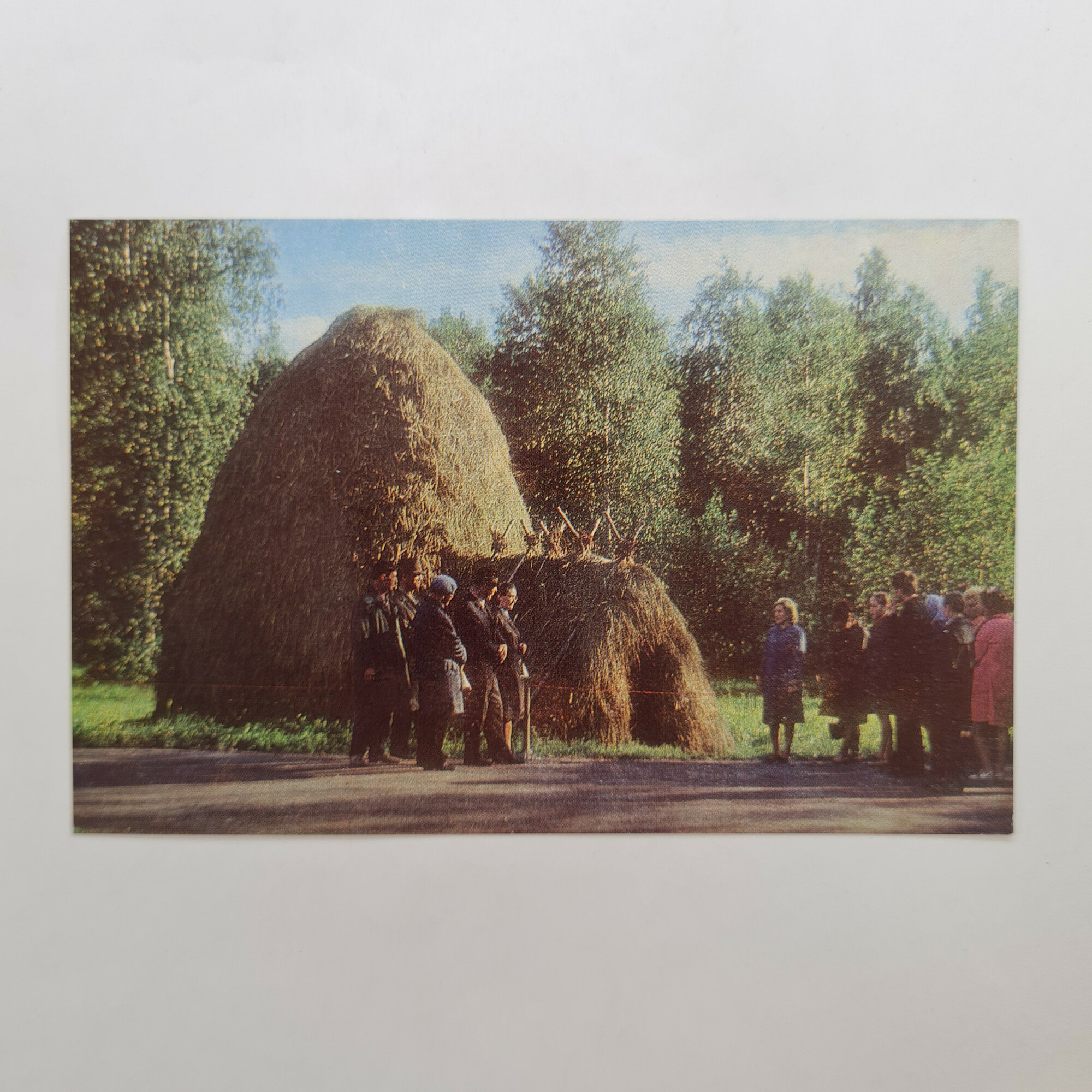 Открытка советская СССР. Ленин в шалаше среди леса, исторический сюжет революции в июле винтаж