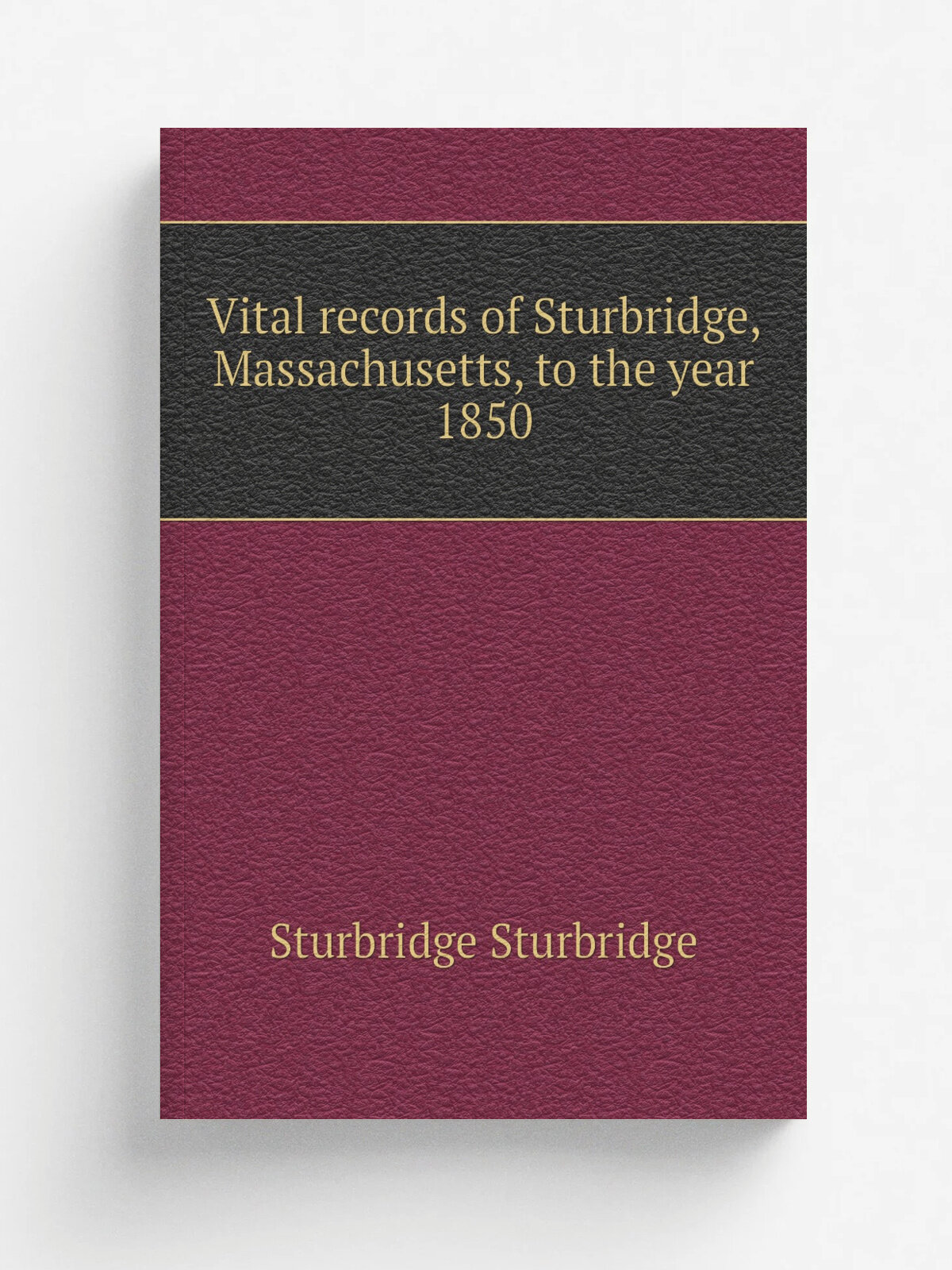 Vital records of Sturbridge, Massachusetts, to the year 1850