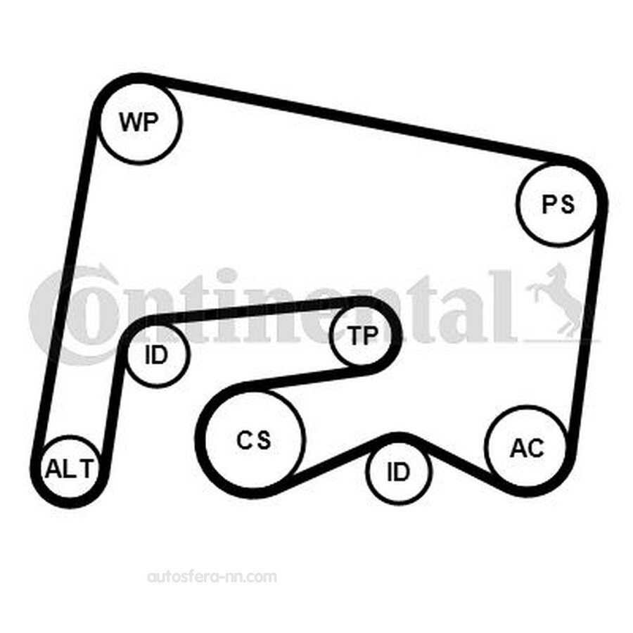 CONTITECH 6PK2155WP1 Комплект ремня приводного MB C-CLASS (W204) C 180 CDI (204.000) (с помпой)