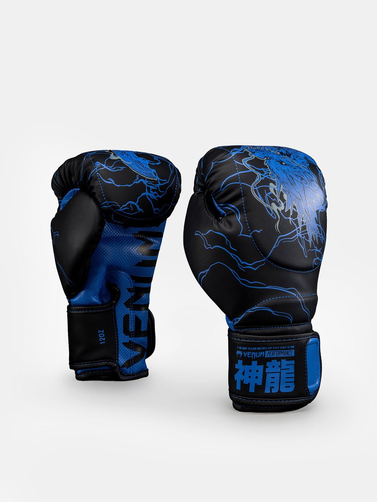 Перчатки боксерские Venum Thunder Dragon Black/Royal Blue (14 унций)
