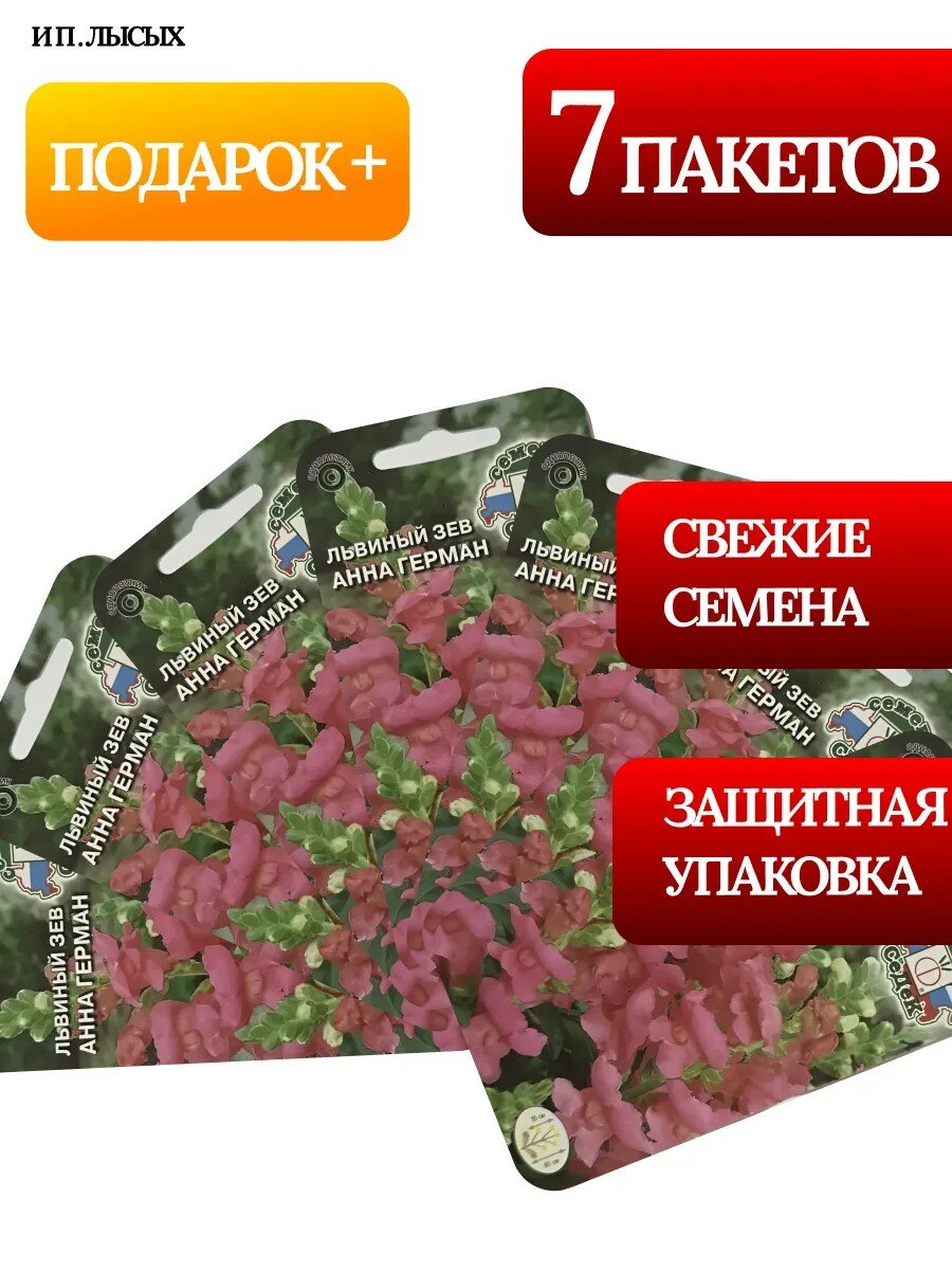 Семена Львиный Зев "Анна Герман"