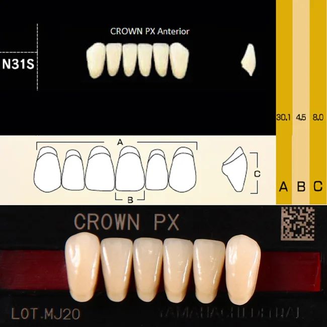 Зубы композитные трёхслойные, вариант исполнения: PX, CROWN Anterior (фронтальные нижние), фасон N31S, цвет A3.5,6 шт. на планке.
