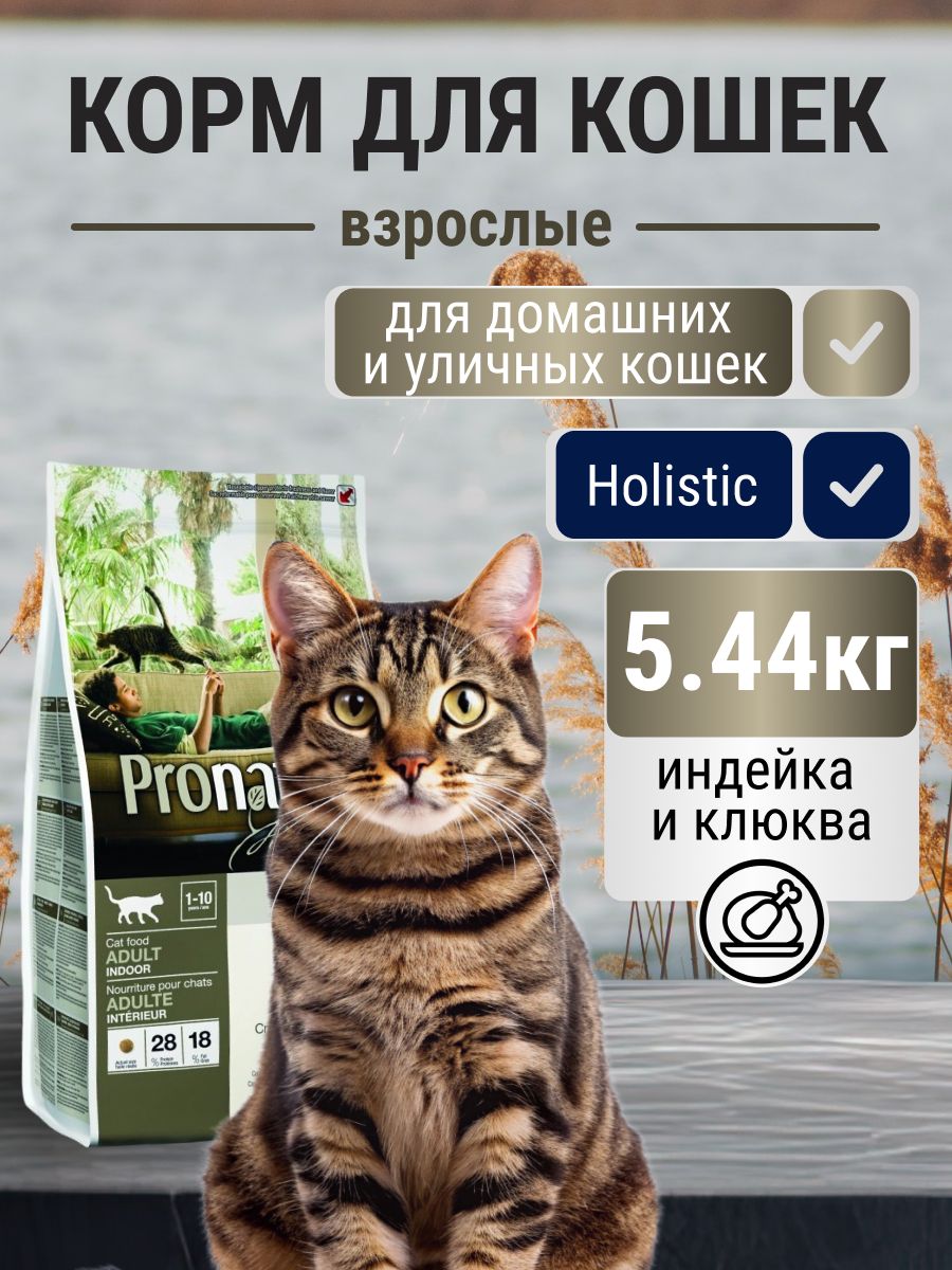 PRONATURE Holistic сухой корм для кошек с индейкой и клюквой