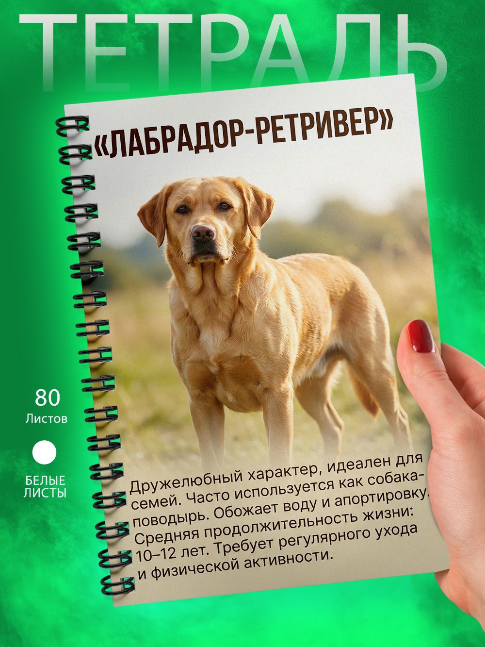 Тетрадь - А5 - Лабрадор ретривер