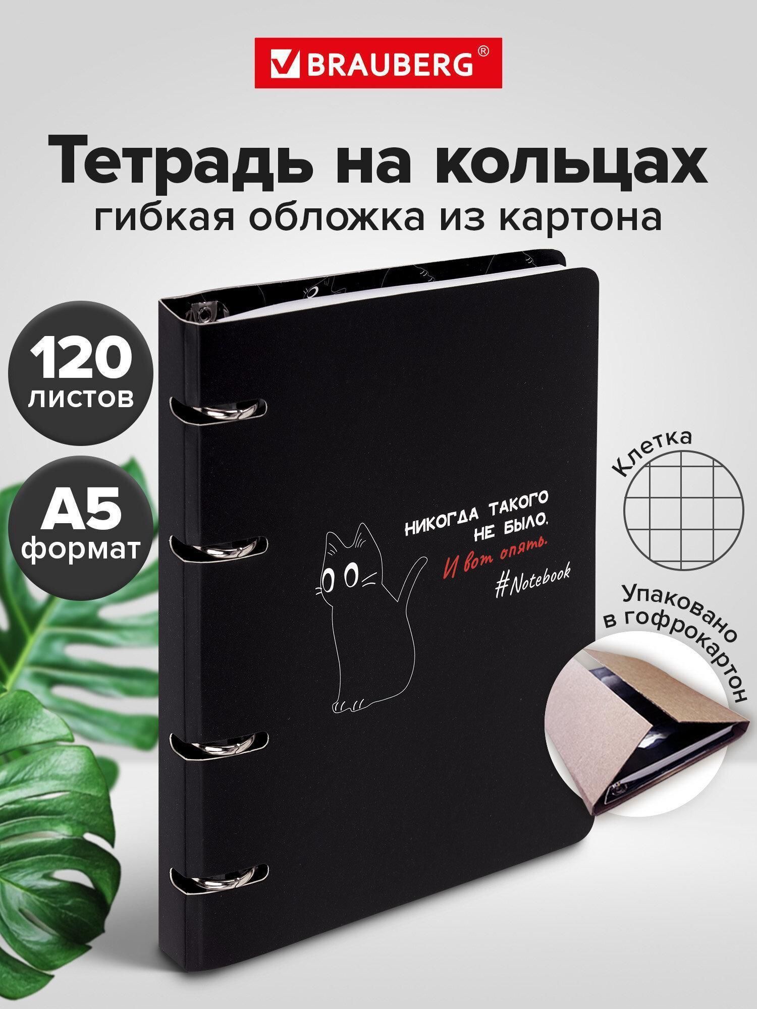 Тетрадь на кольцах А5 160х212мм, 120л, картон, матовая ламинация, клетка, BRAUBERG, Просто Кот,404723