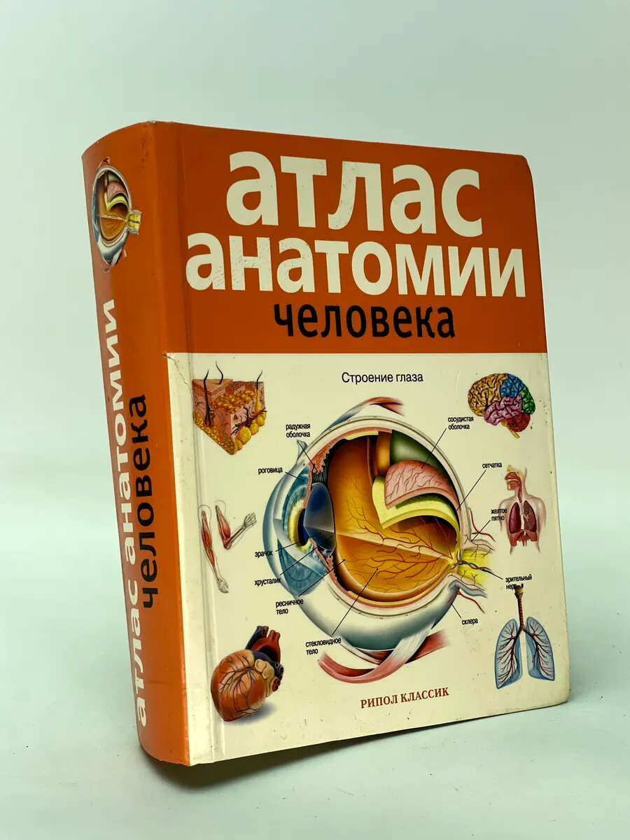 Атлас анатомии человека