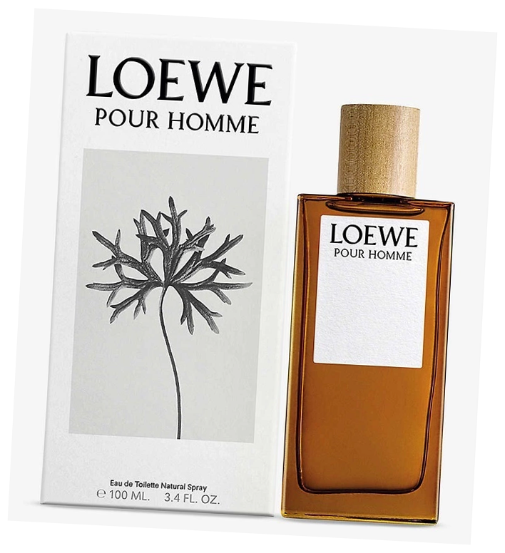 Мужской парфюм Лоеве Лоев Пур Хомм 100 мл / Loewe Pour Homme туалетная вода