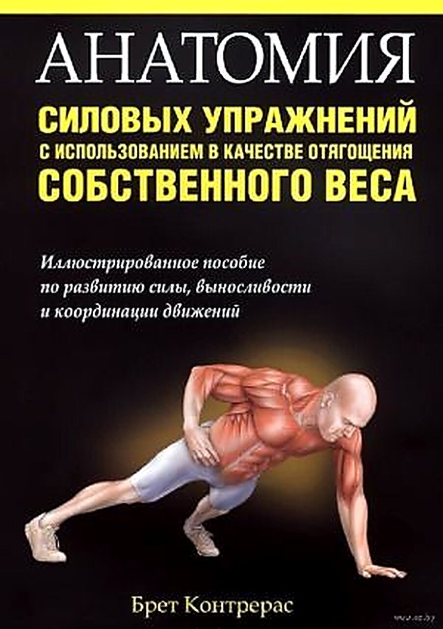 Анатомия силовых упражнений с использованием в качестве отягощения