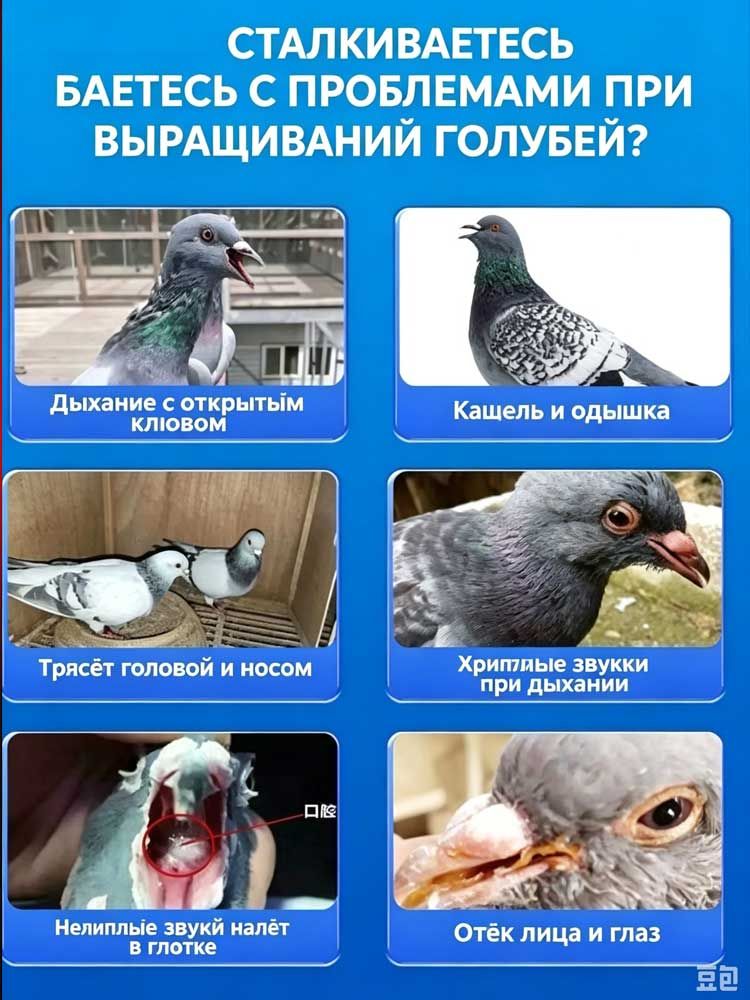Формула для ухода за дыхательной системой голубей облегчает отек дыхательных путей, хрипы, выделение мокроты из горла и проблемы с дыханием Для спортивных и молодых голубей