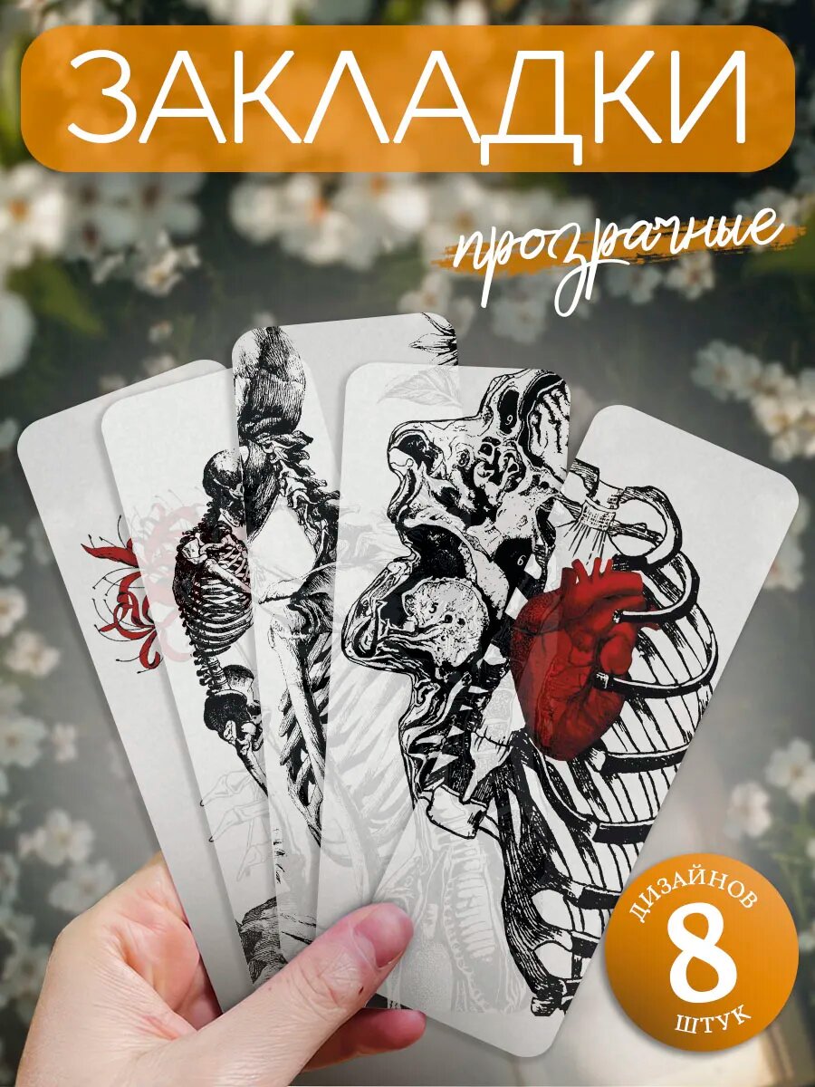Прозрачные закладки из кальки как из pinterest, анатомия