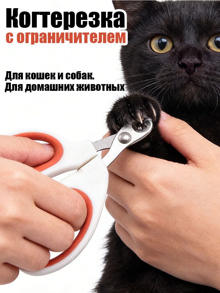 Когтерезка для кошек с ограничителем, ножницы для когтей кошек и собак