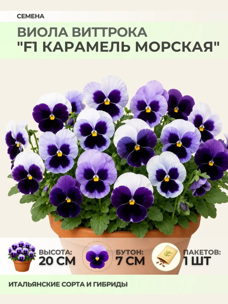 Виола "Карамель Морская" F1, сине-голубые и кремовые оттенки, обильноцветущий сорт, 1 упаковка, 7 шт. семян.