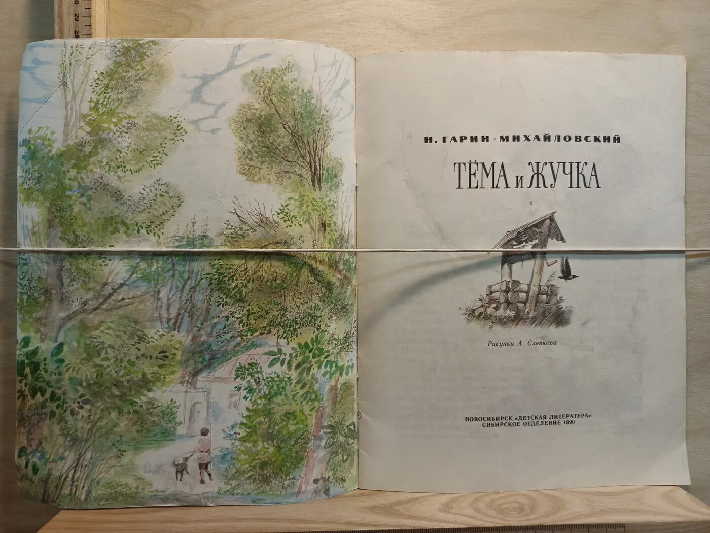 Тёма и Жучка — фото 1