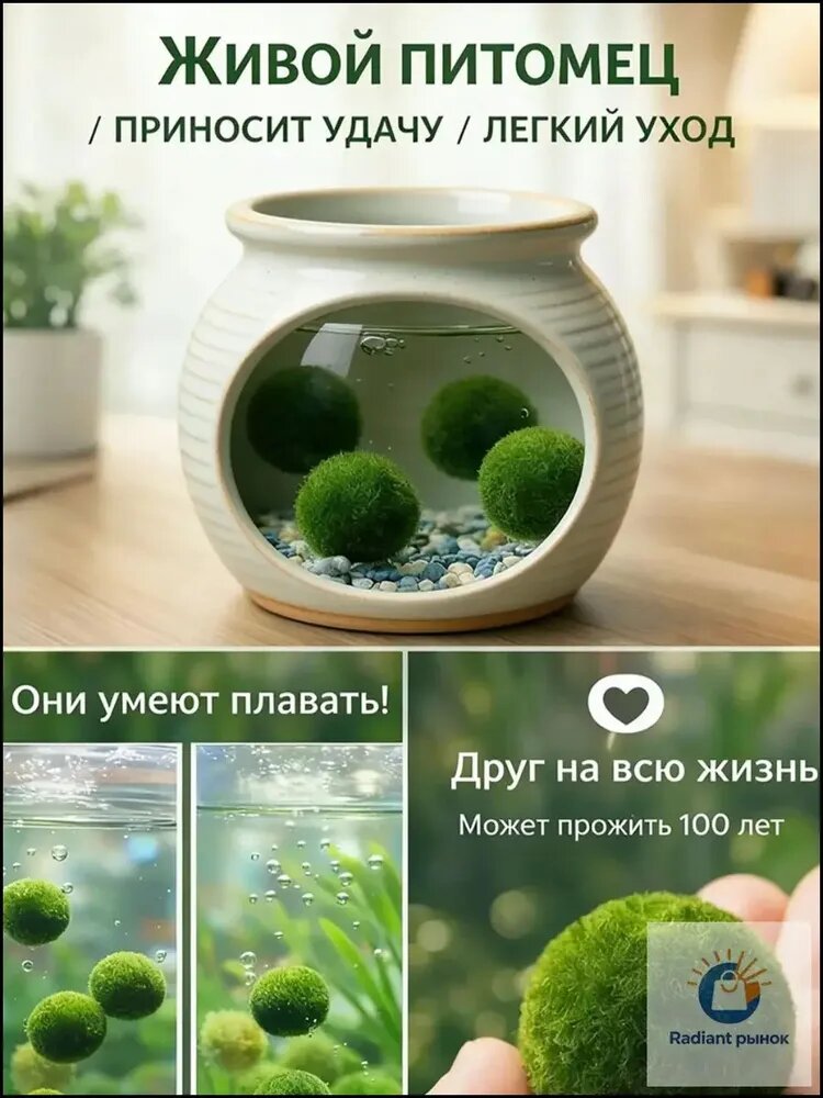 Живые водорослиНабор 4 шт, Натуральный мох шарики для аквариума, Символ удачи и любви