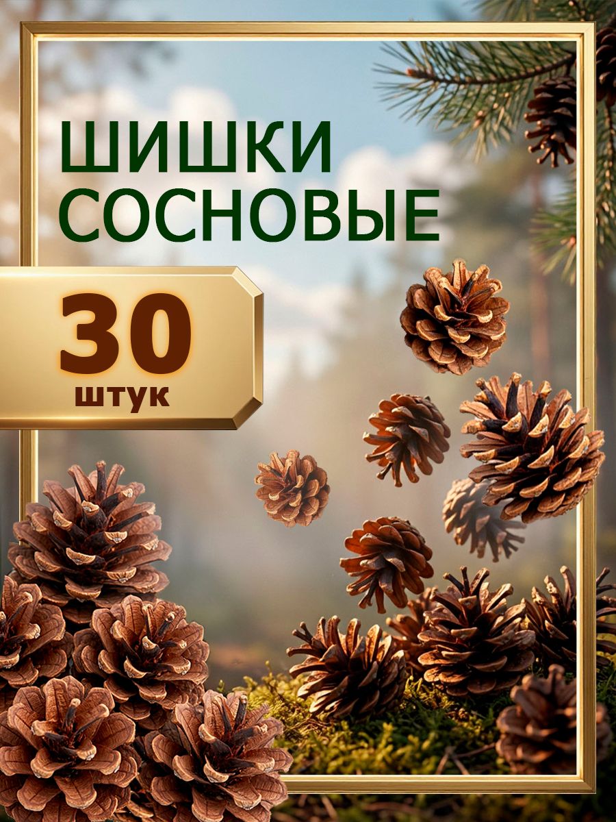 Шишки сосновые 30 штук