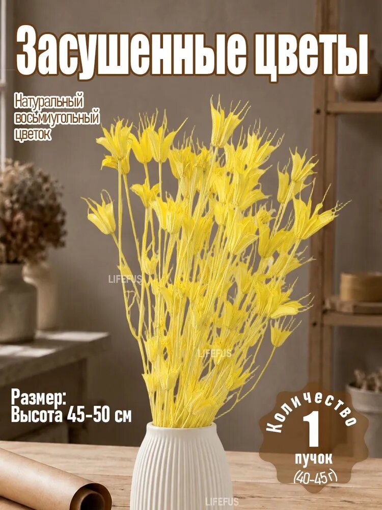 LIFEFUS Сухоцветы Бадьян желтые, 1 пучок, стабилизированные